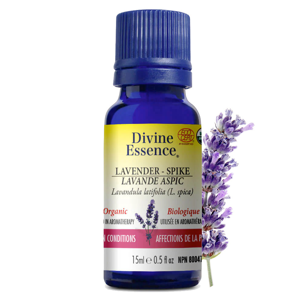 Lavender - Spike Organic – Divine Essence