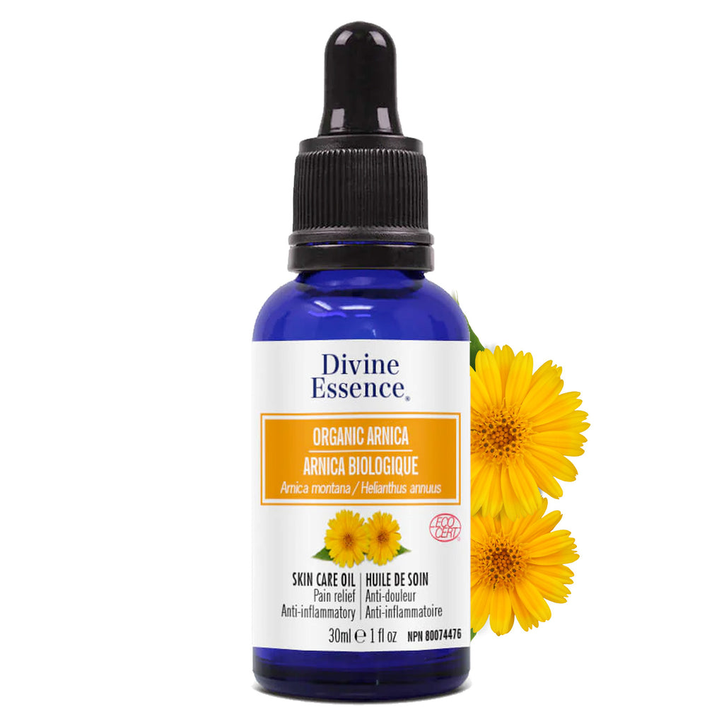 Arnica Extract Organic – Divine Essence