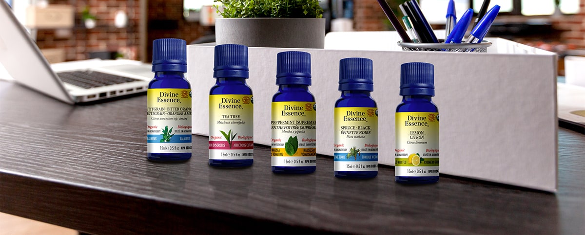 Top 5 Essential Oils To Have At Work! – Divine Essence