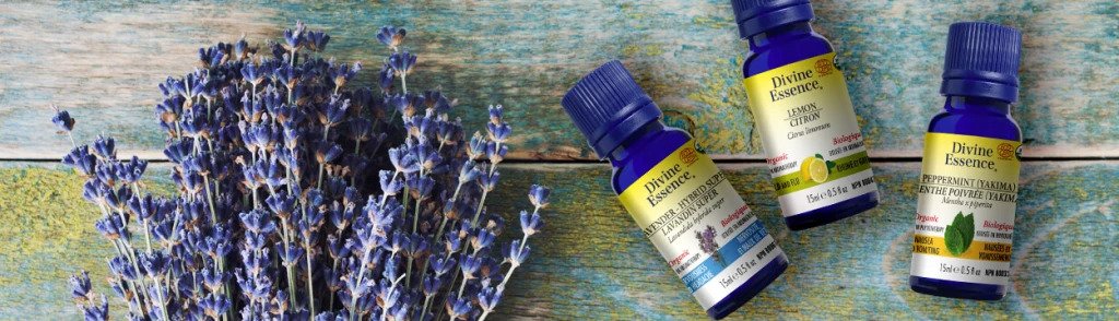 Aromatherapy 101: everything you need for an aromatherapy starter’s ki ...