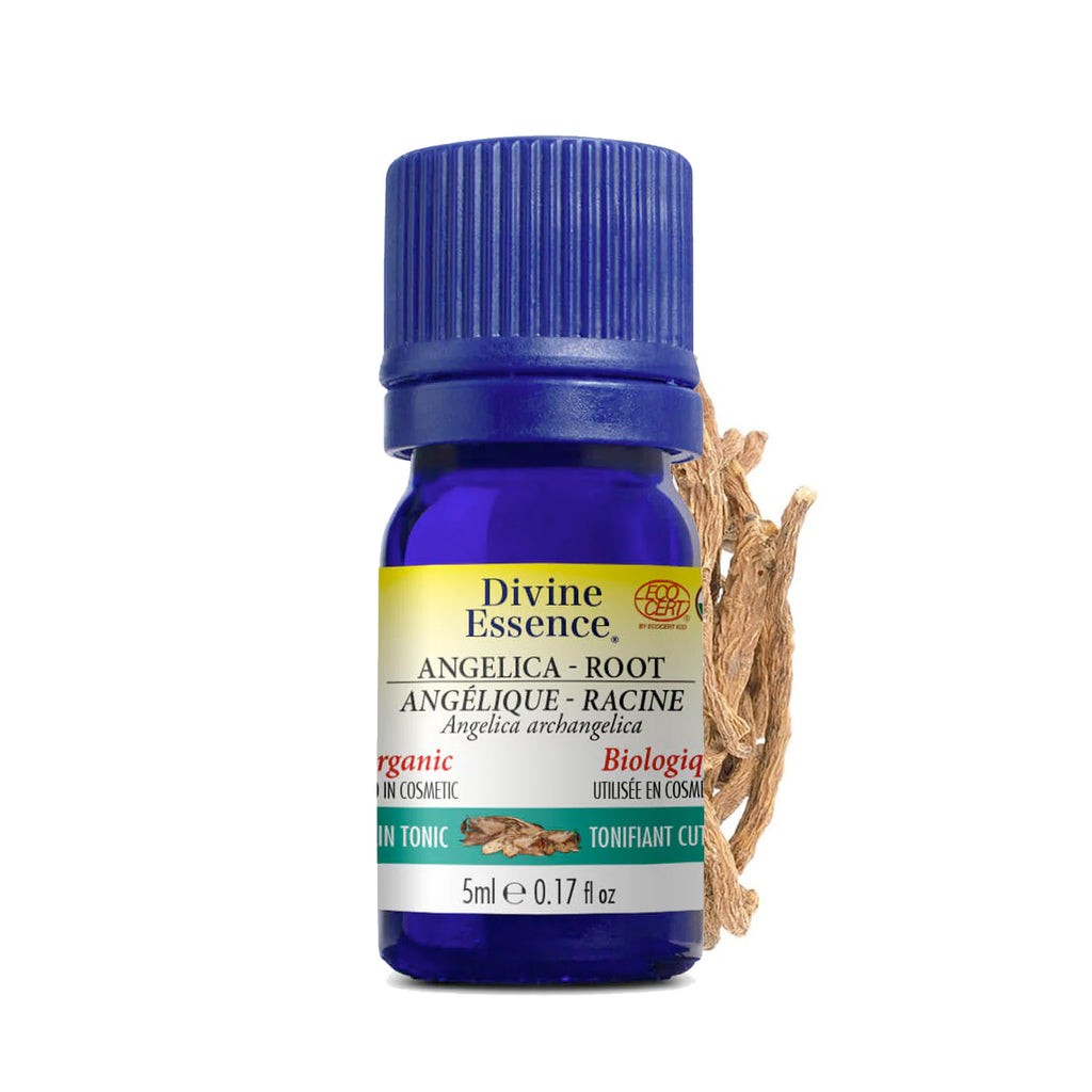 Angelica - Root Organic – Divine Essence
