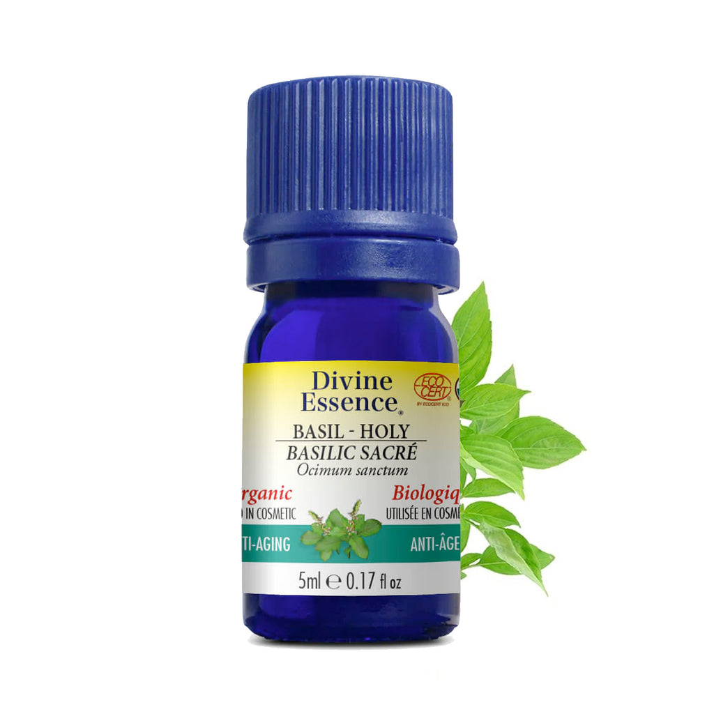 Basil - Holy Organic – Divine Essence