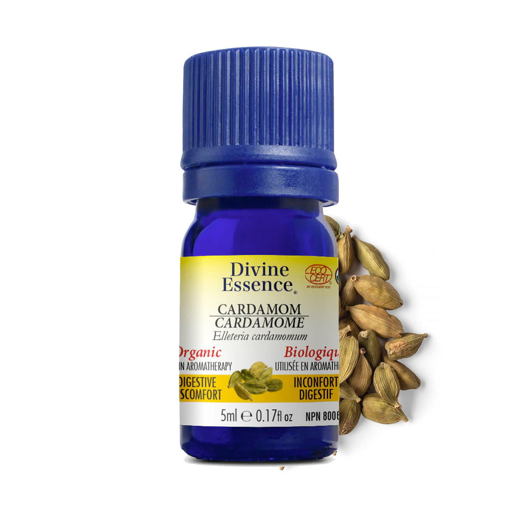 Cardamom Organic – Divine Essence