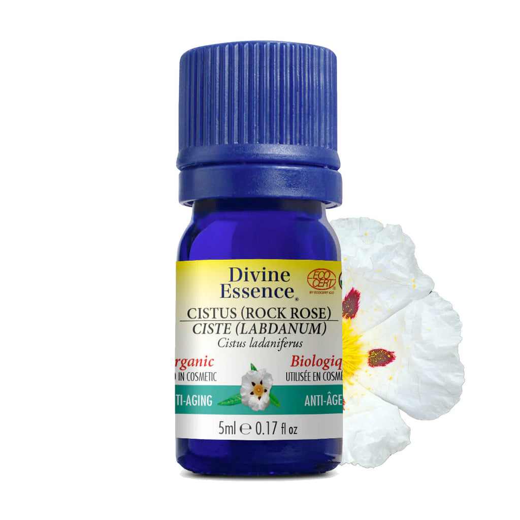 Ciste (Labdanum) Biologique – Divine Essence