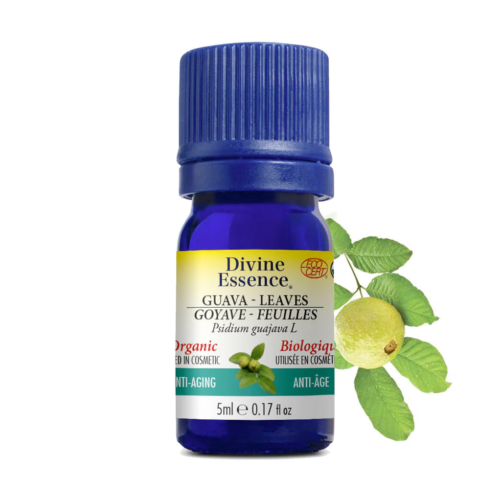 Guava Leaves Organic – Divine Essence
