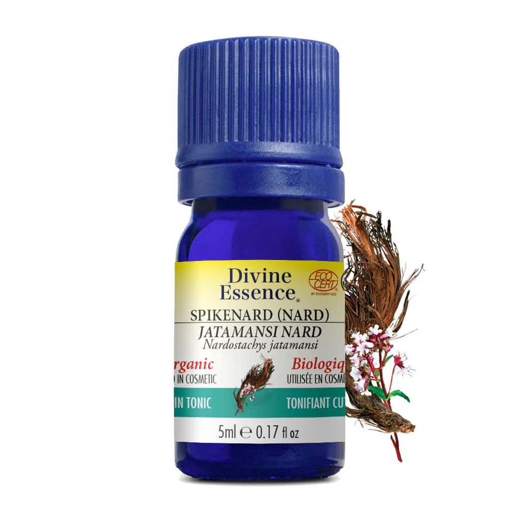 Spikenard (Nard) Organic – Divine Essence