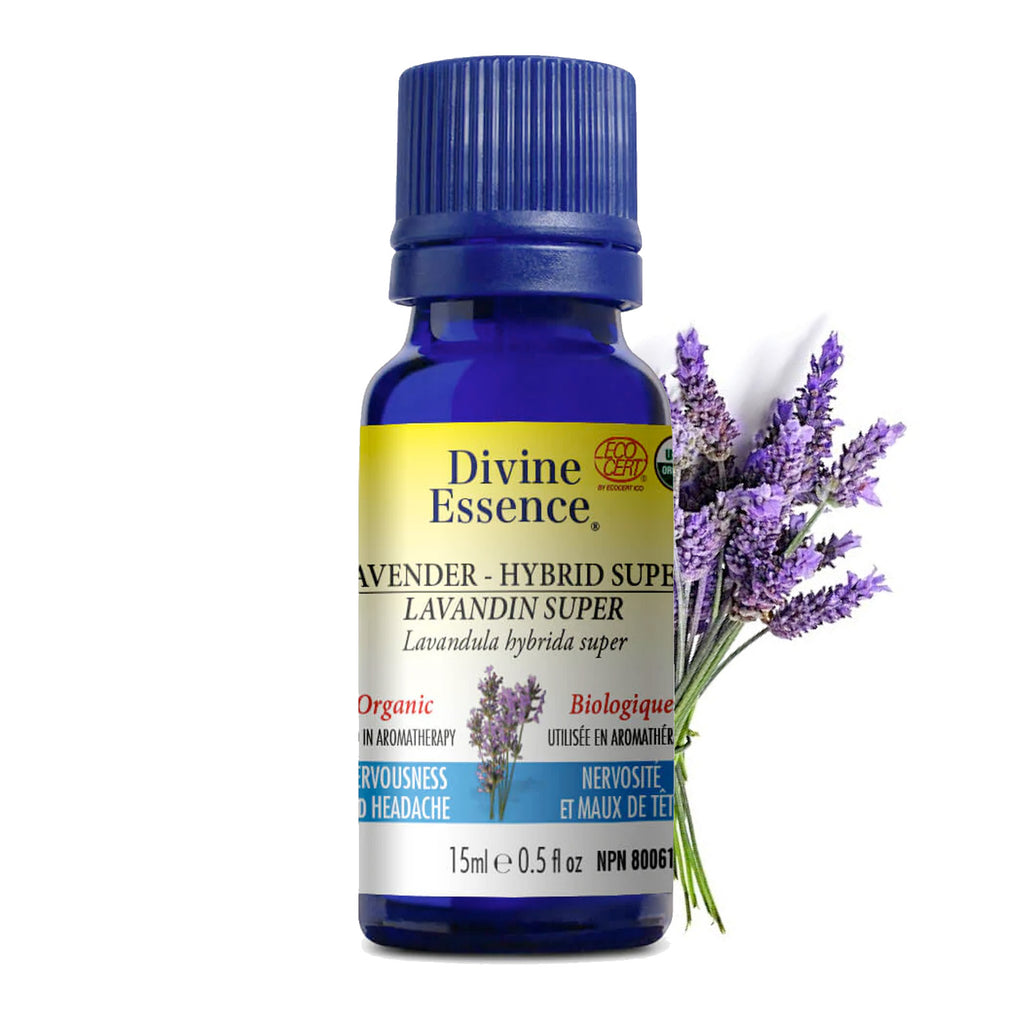 Lavender - Hybrid Super Organic – Divine Essence
