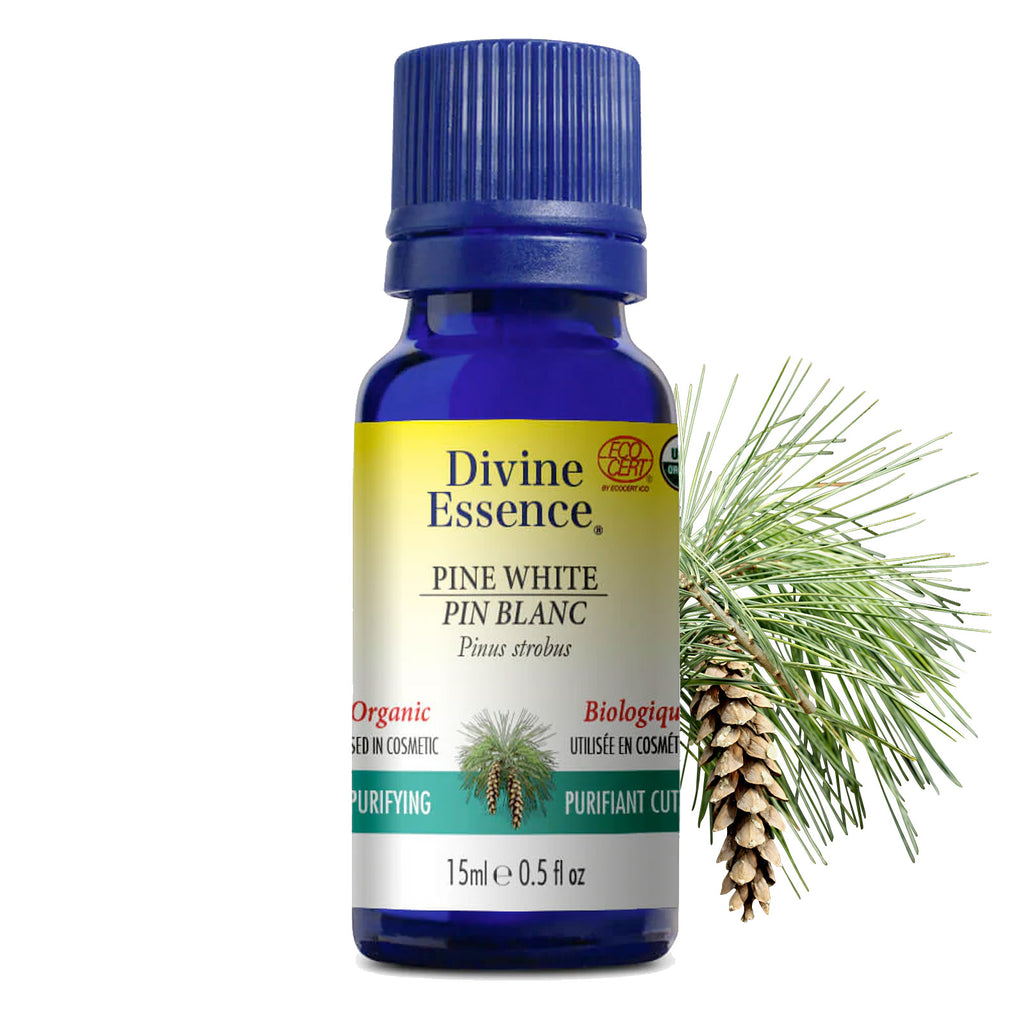 Pine White Organic – Divine Essence
