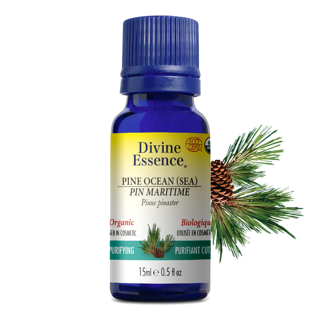 Pine - Ocean (Sea) Organic – Divine Essence