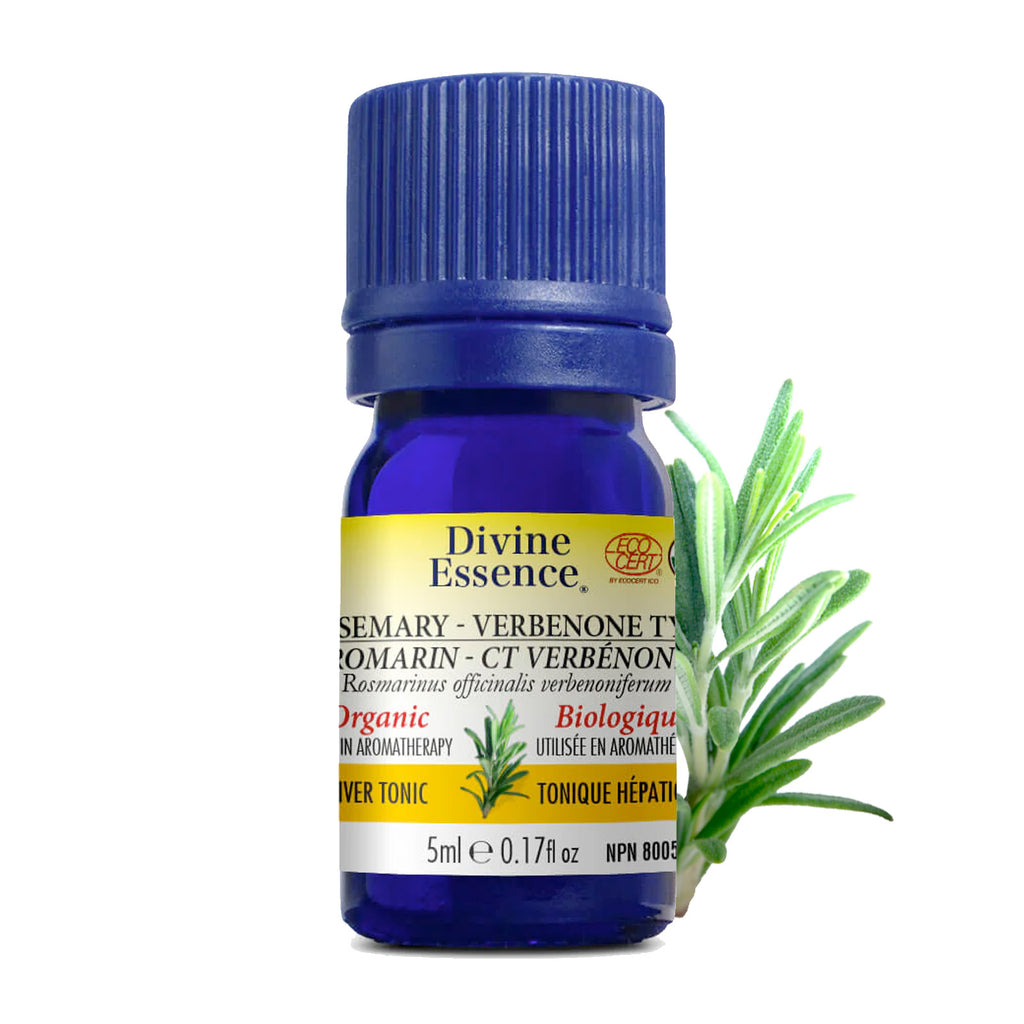 Rosemary Verbenone Type Organic – Divine Essence
